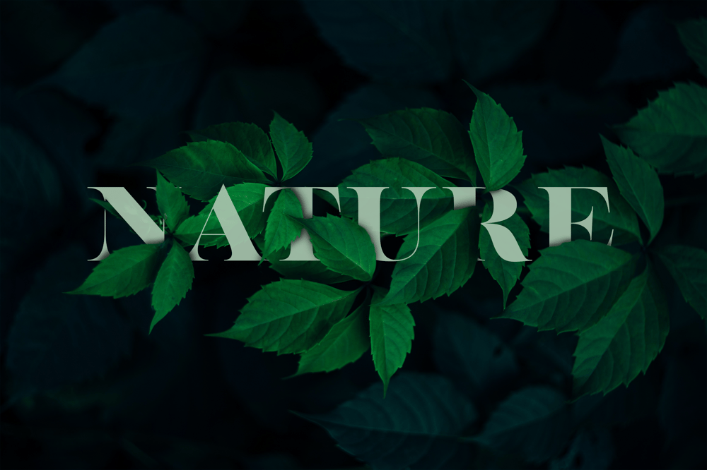 Photoshop Essential Course | Skillshare Student Project