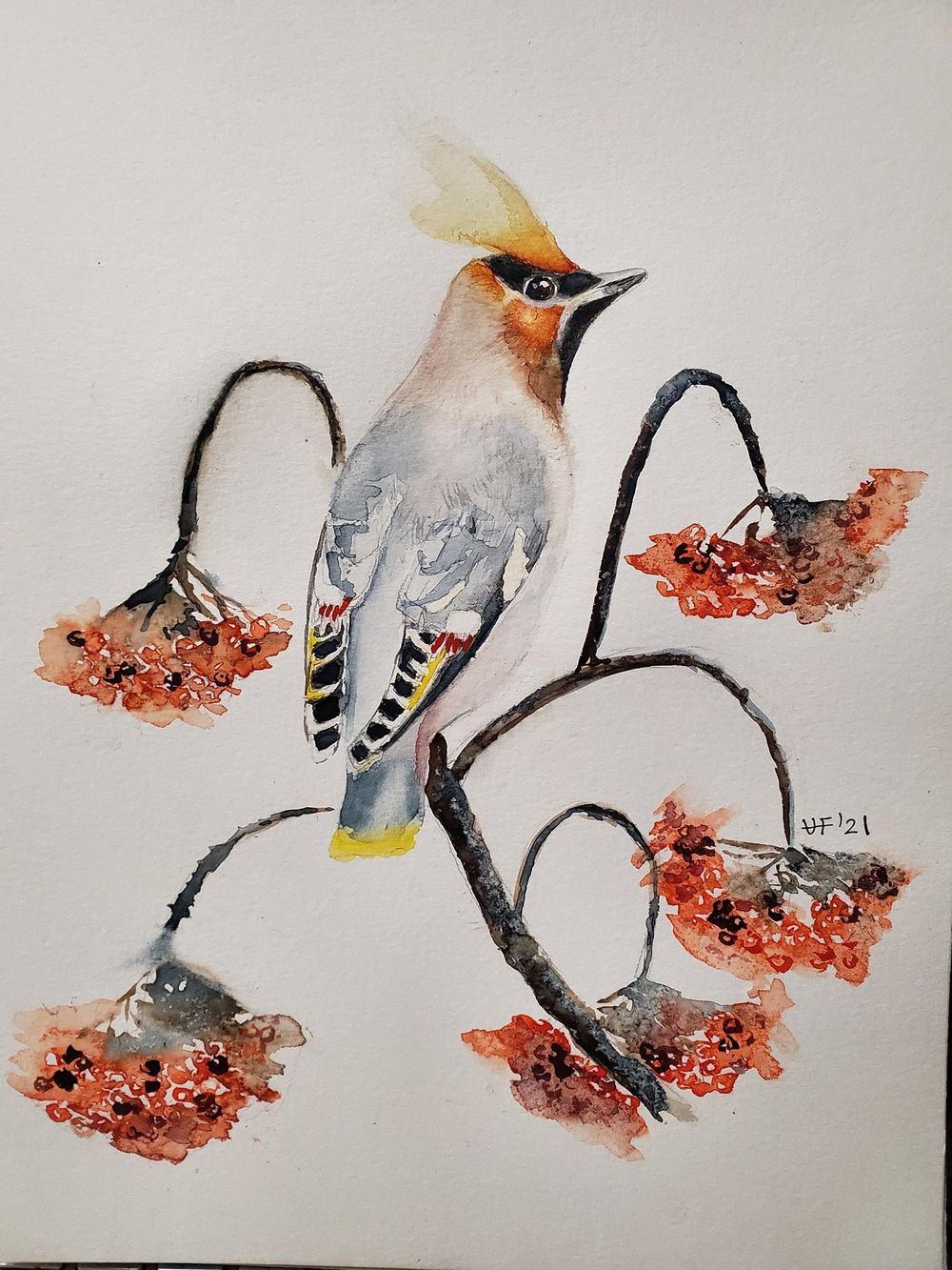 Drawing birds | Skillshare Student Project