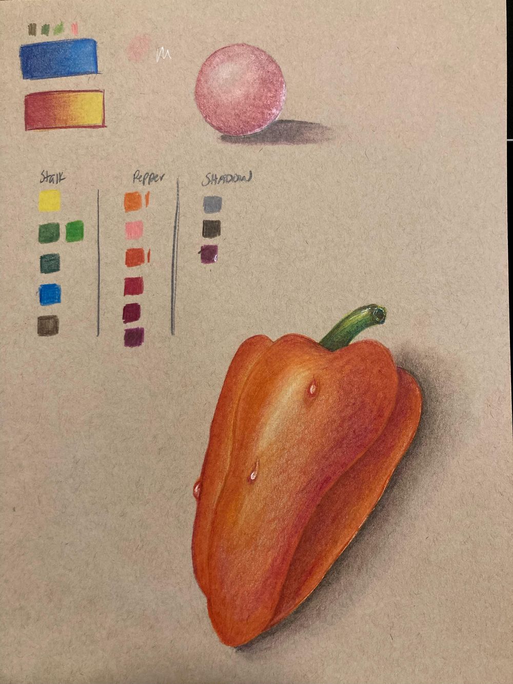 Realistic Pepper - Color Pencil | Skillshare Student Project
