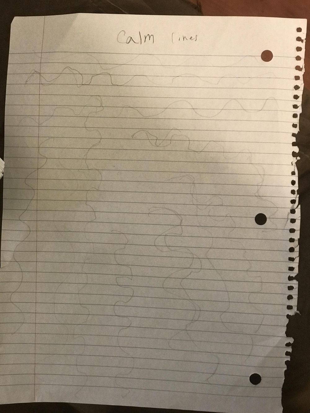 Week 2 Day 2 Assignment | Skillshare Student Project