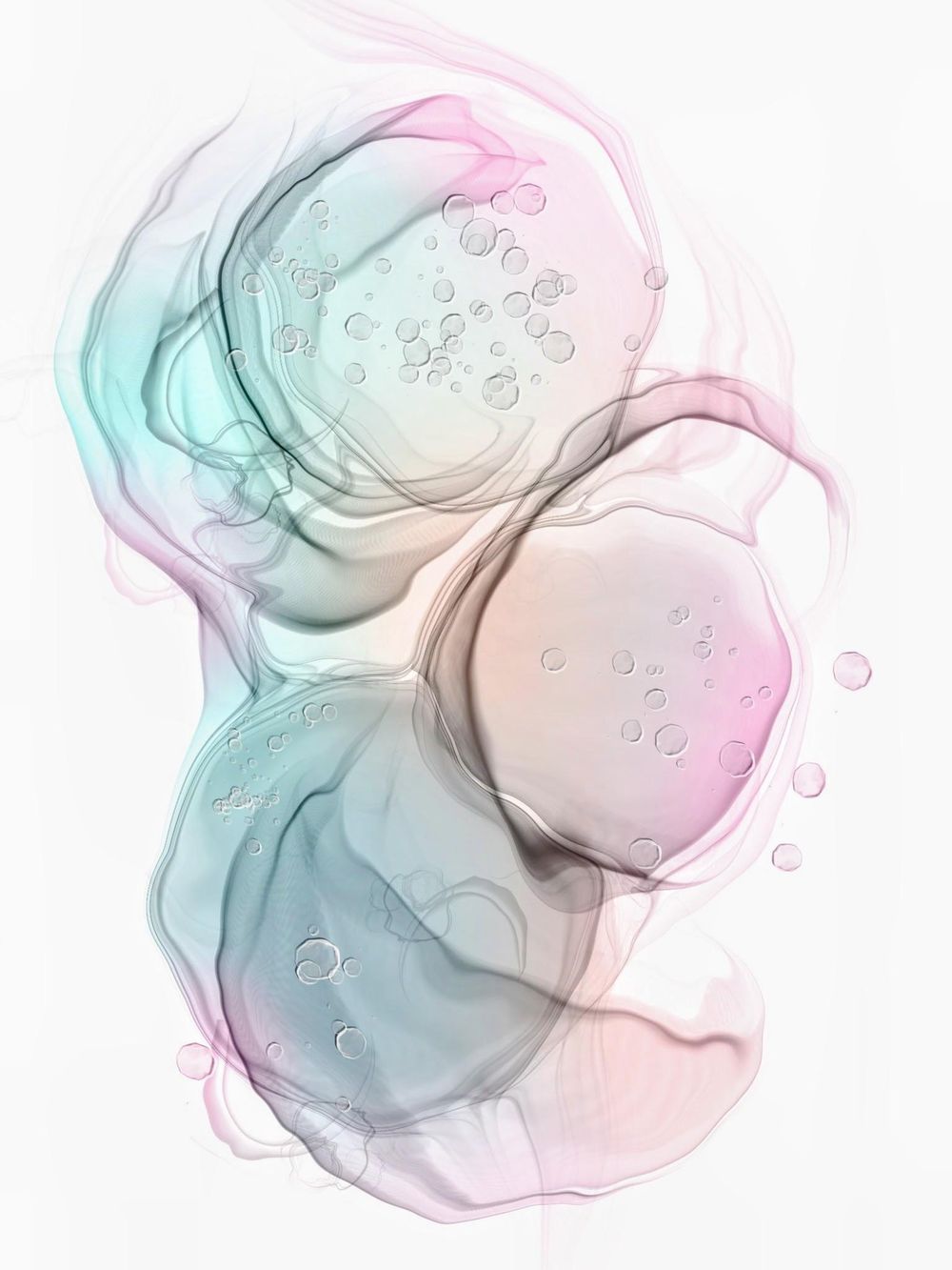 Bubbles | Skillshare Student Project