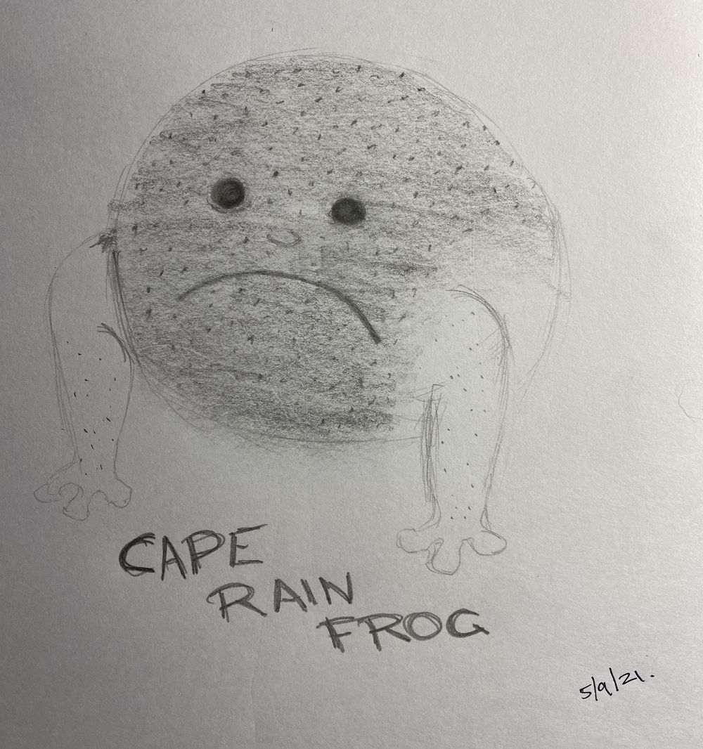 Always Drawing: 7 Creative Exercises | Skillshare Student Project