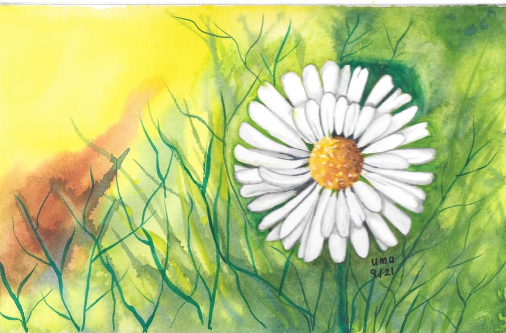 Daisy | Skillshare Student Project