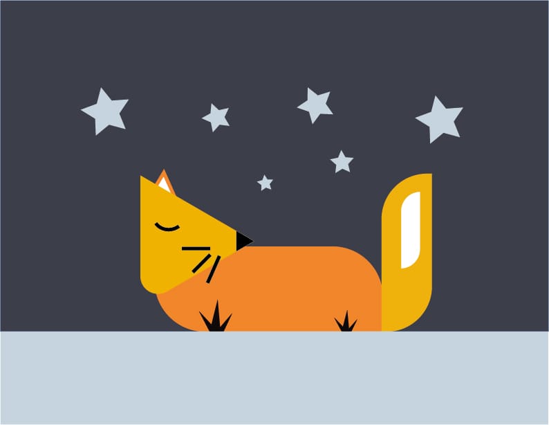 First projects | Skillshare Student Project