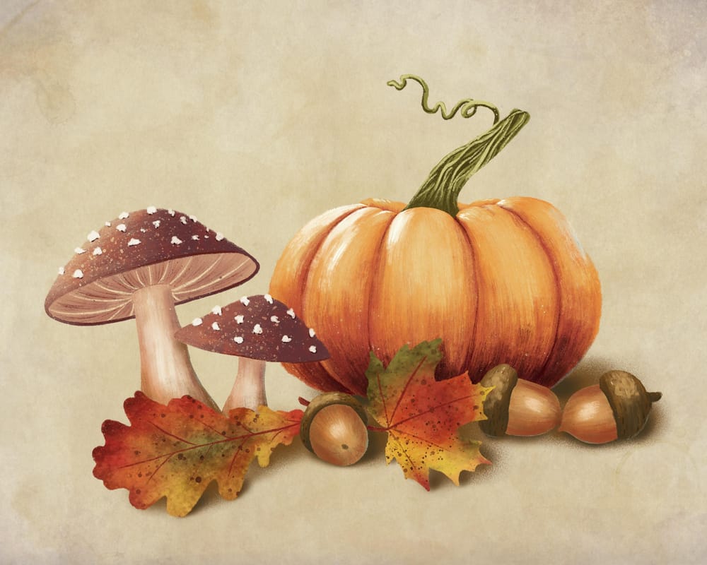 Fall class | Skillshare Student Project