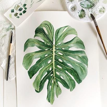 Monstera Leaf | Skillshare Student Project