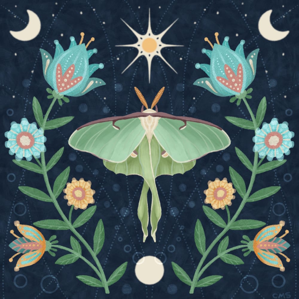 Dreamy Luna Moth | Skillshare Student Project