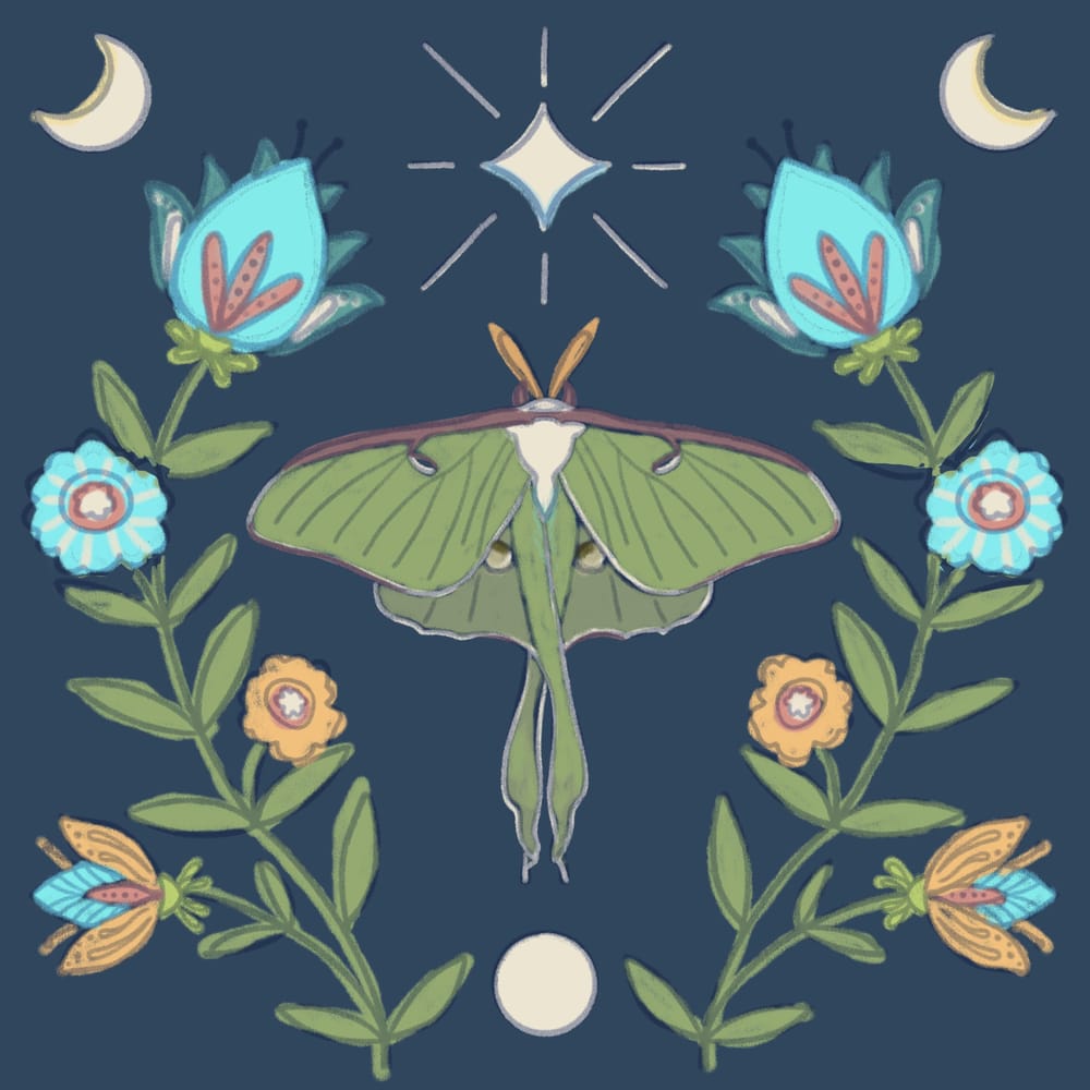 Dreamy Luna Moth | Skillshare Student Project