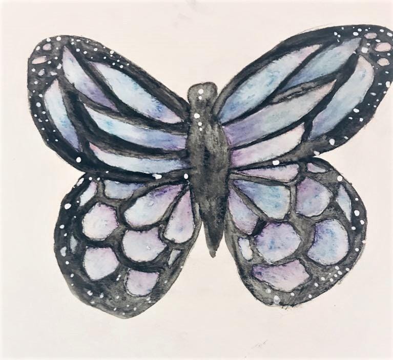 Butterfly Watercolor Pencils | Skillshare Student Project