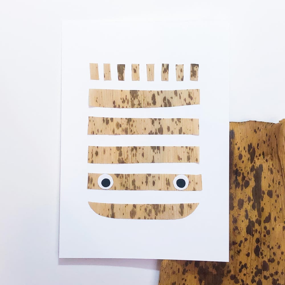 Conscious Creatures | Skillshare Student Project