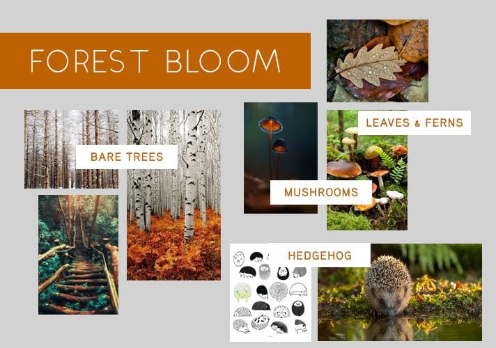 Forest Bloom | Skillshare Student Project