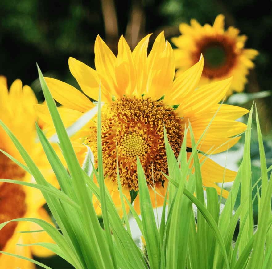 Photoshop class Projects | Skillshare Student Project