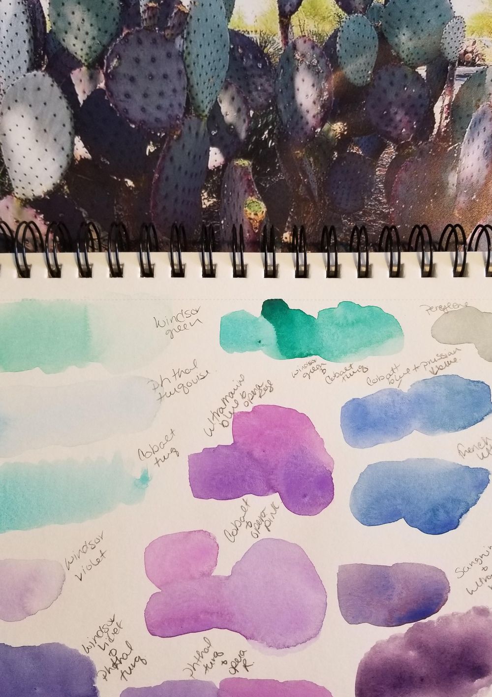 Colour Exploration | Skillshare Student Project