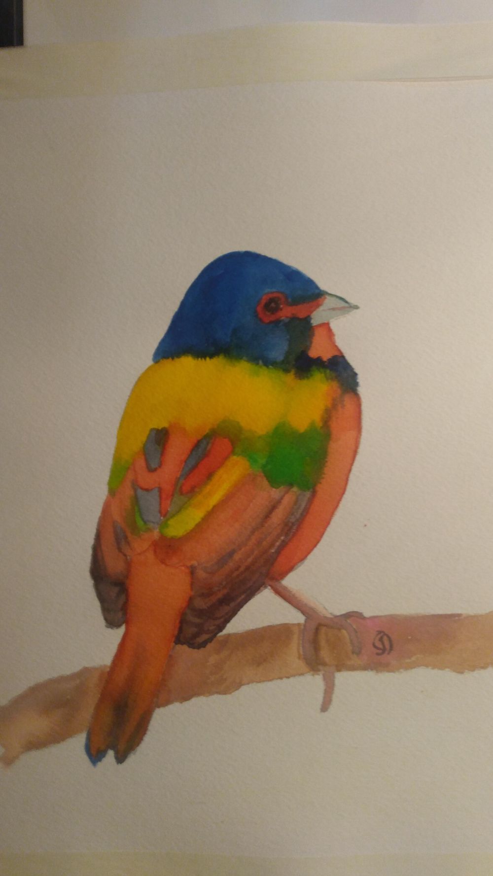 A colorful bird | Skillshare Student Project