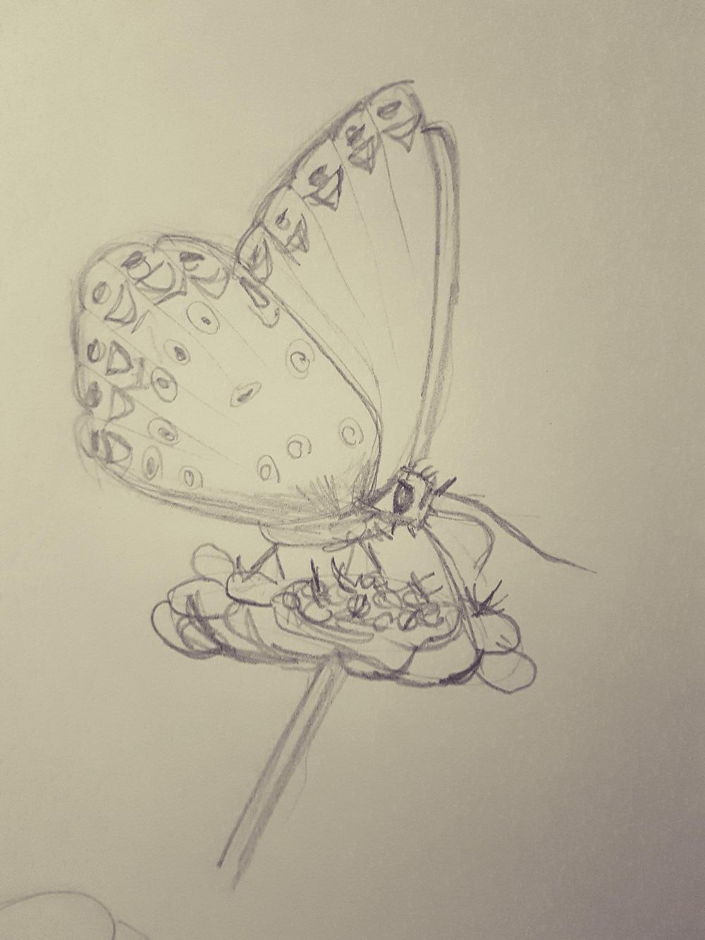 Drawing in 3 steps | Skillshare Student Project