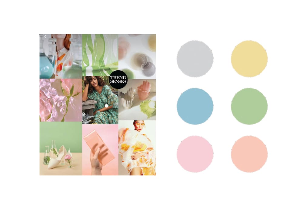 Color palette | Skillshare Student Project
