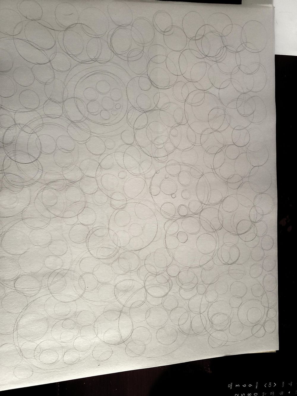 Circles and Ovals | Skillshare Student Project