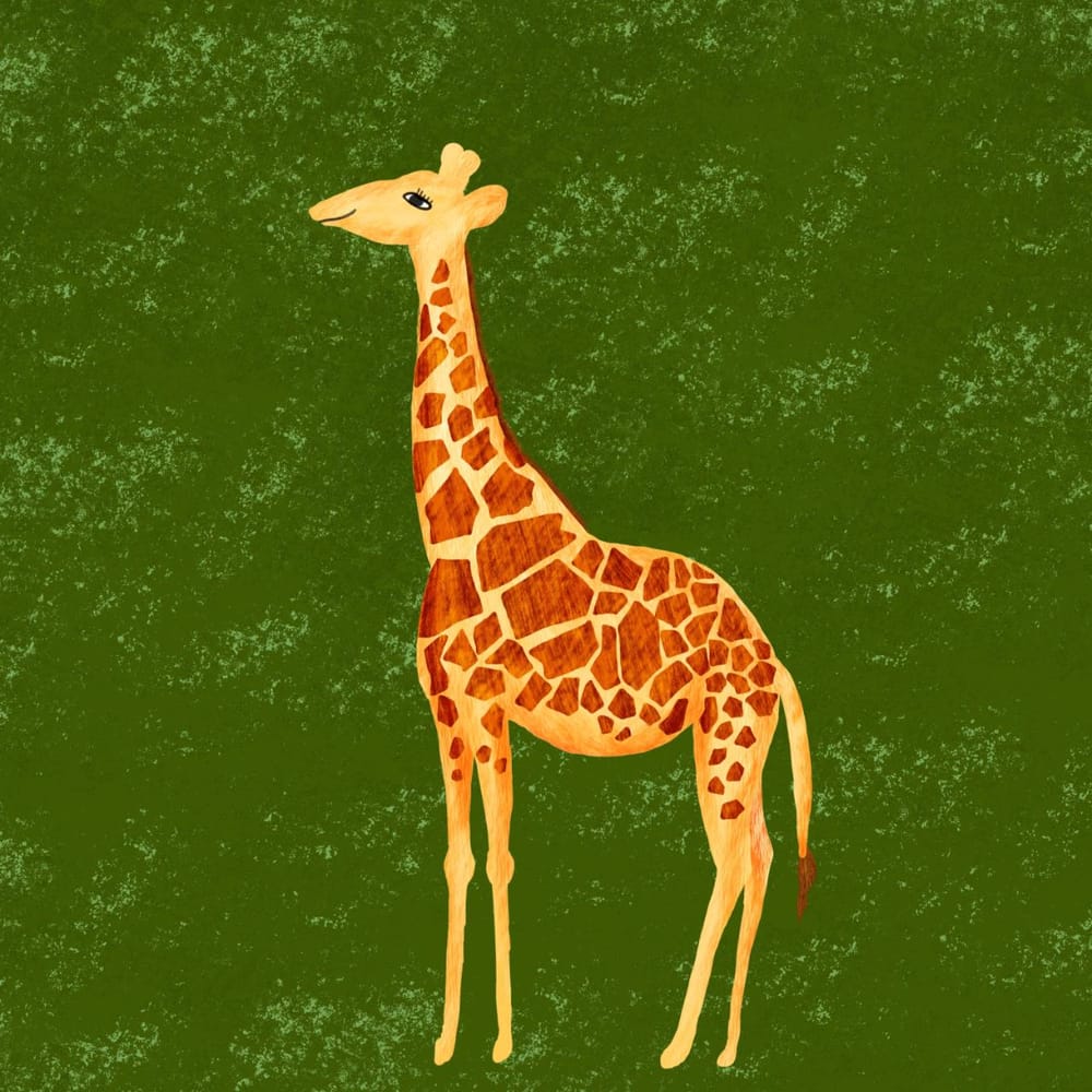 Learning How to Draw | Skillshare Student Project