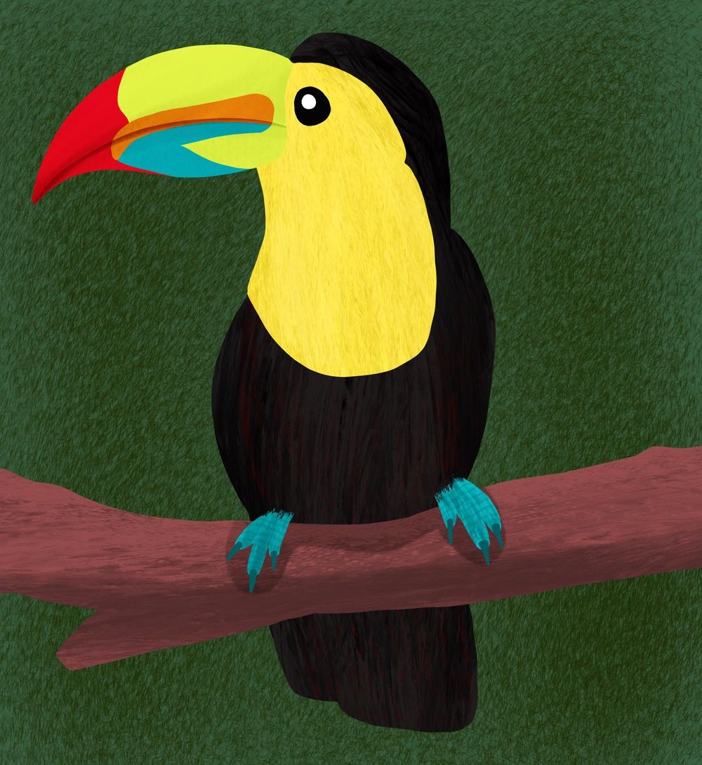 Learning How to Draw | Skillshare Student Project