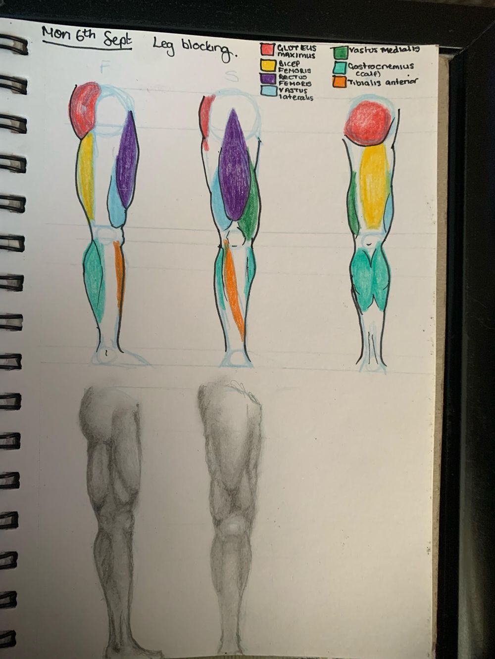 Jazza's 28-Day Drawing Challenge: Anatomy | Skillshare Student Project