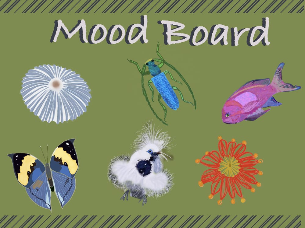 Mood, Map and Features | Skillshare Student Project