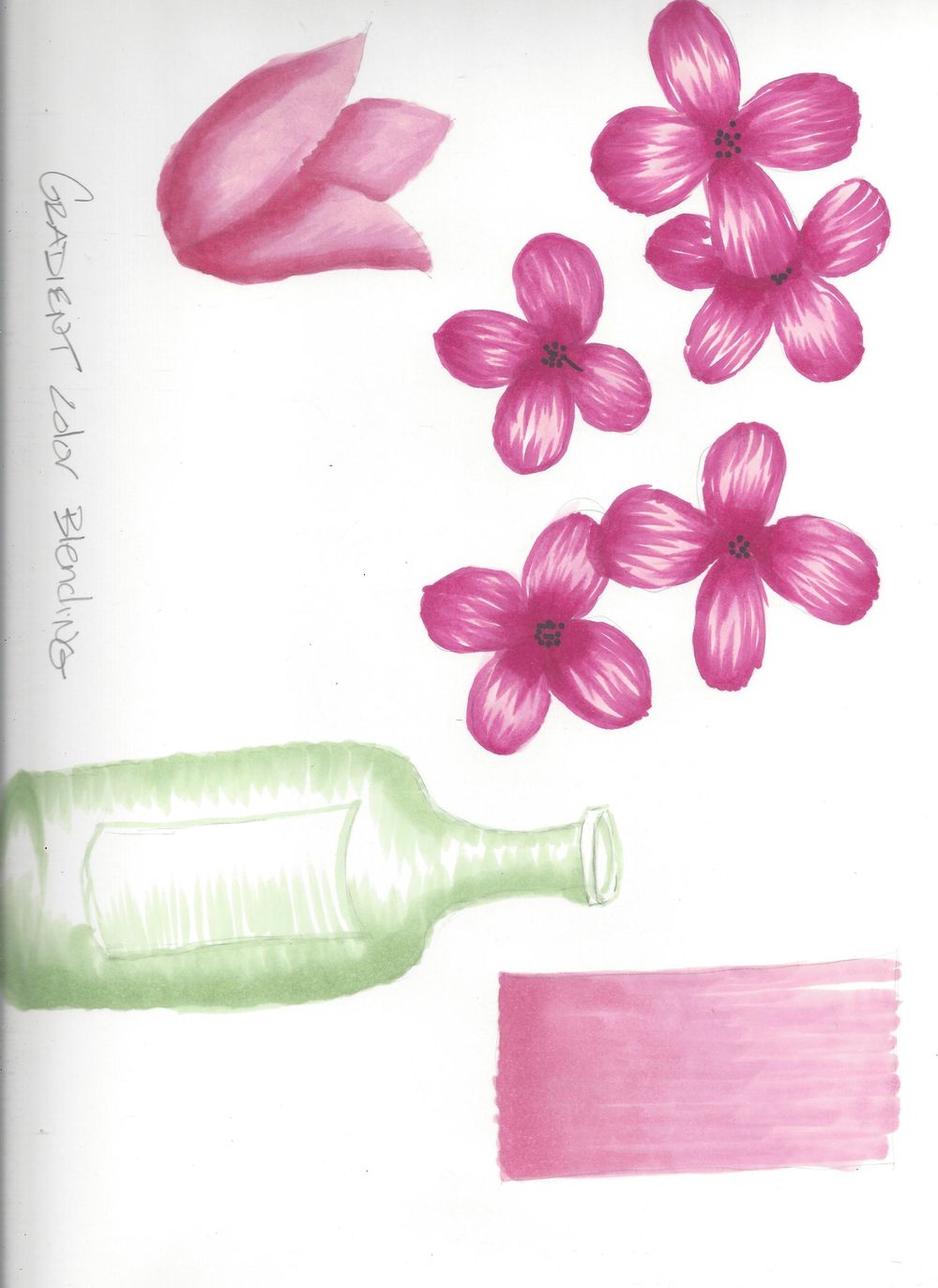 Colouring With Markers | Skillshare Student Project