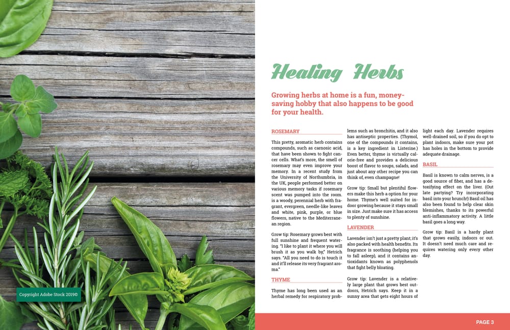 Indesign - Course Project | Skillshare Student Project