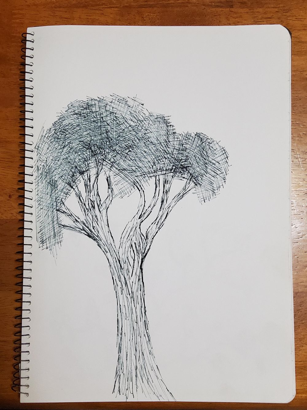 Hatching practice :) | Skillshare Student Project