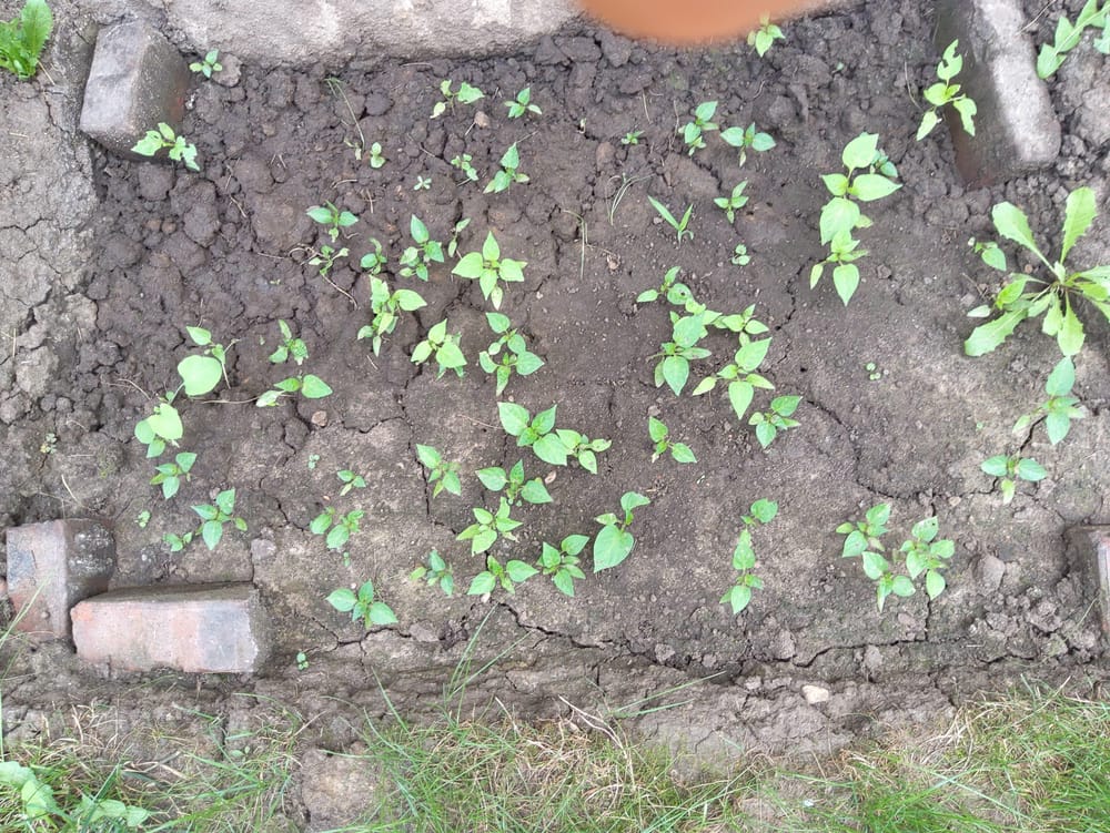 Helping to achieve permanent transformations. | Skillshare Student Project