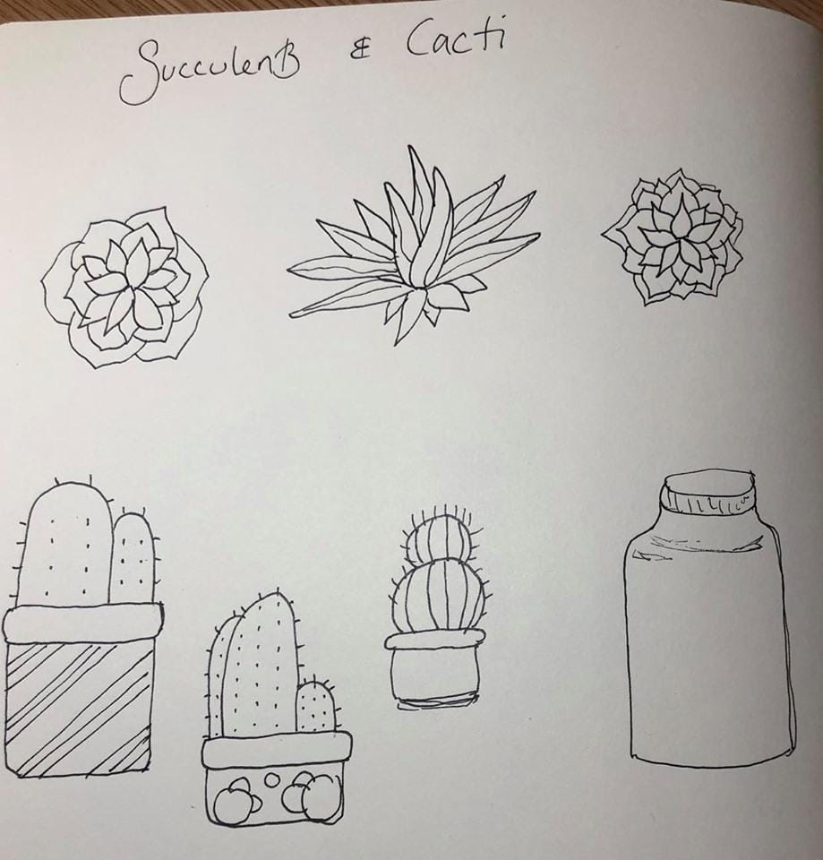 Botanical Line Drawing | Skillshare Student Project