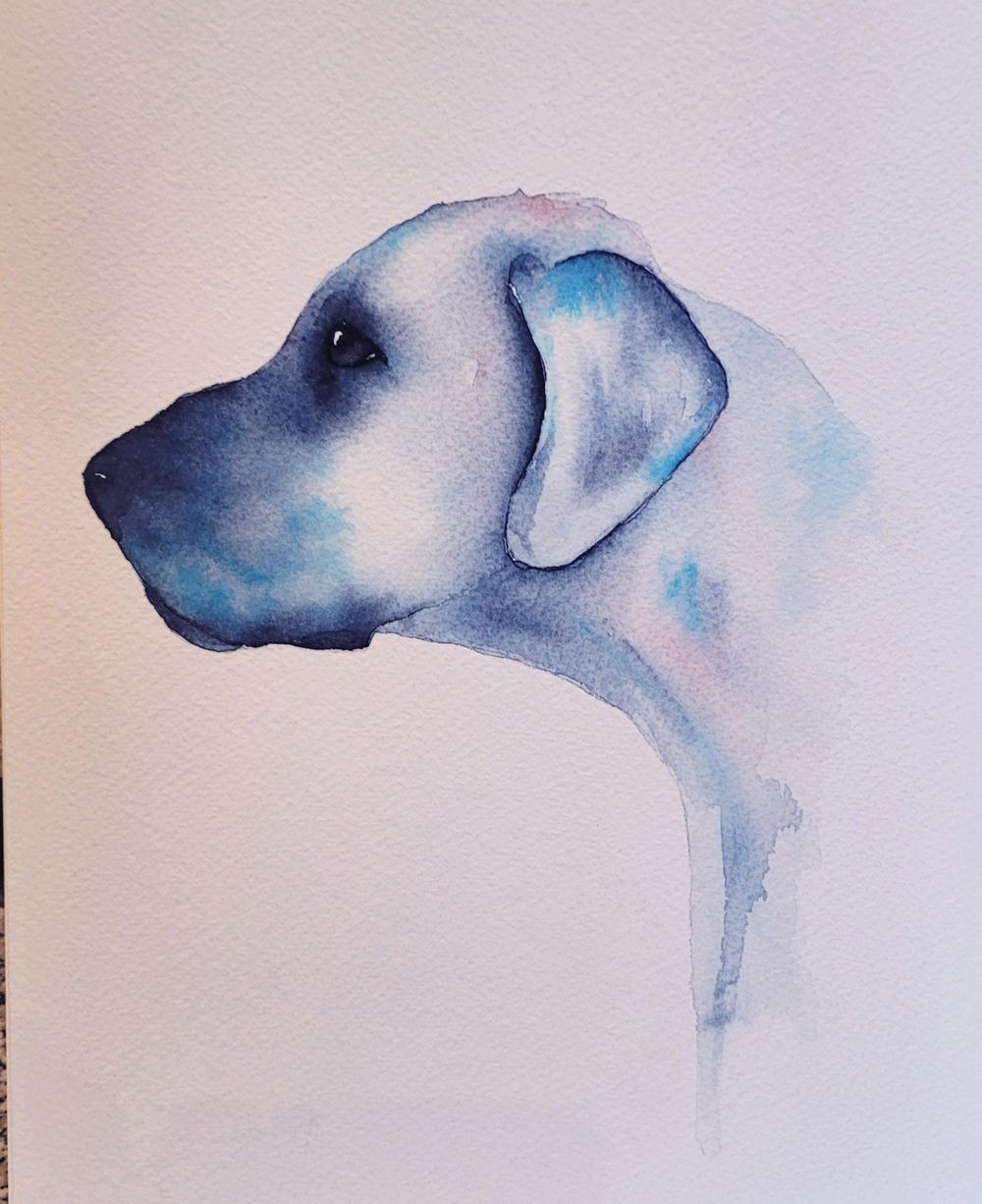 Dog Collection | Skillshare Student Project