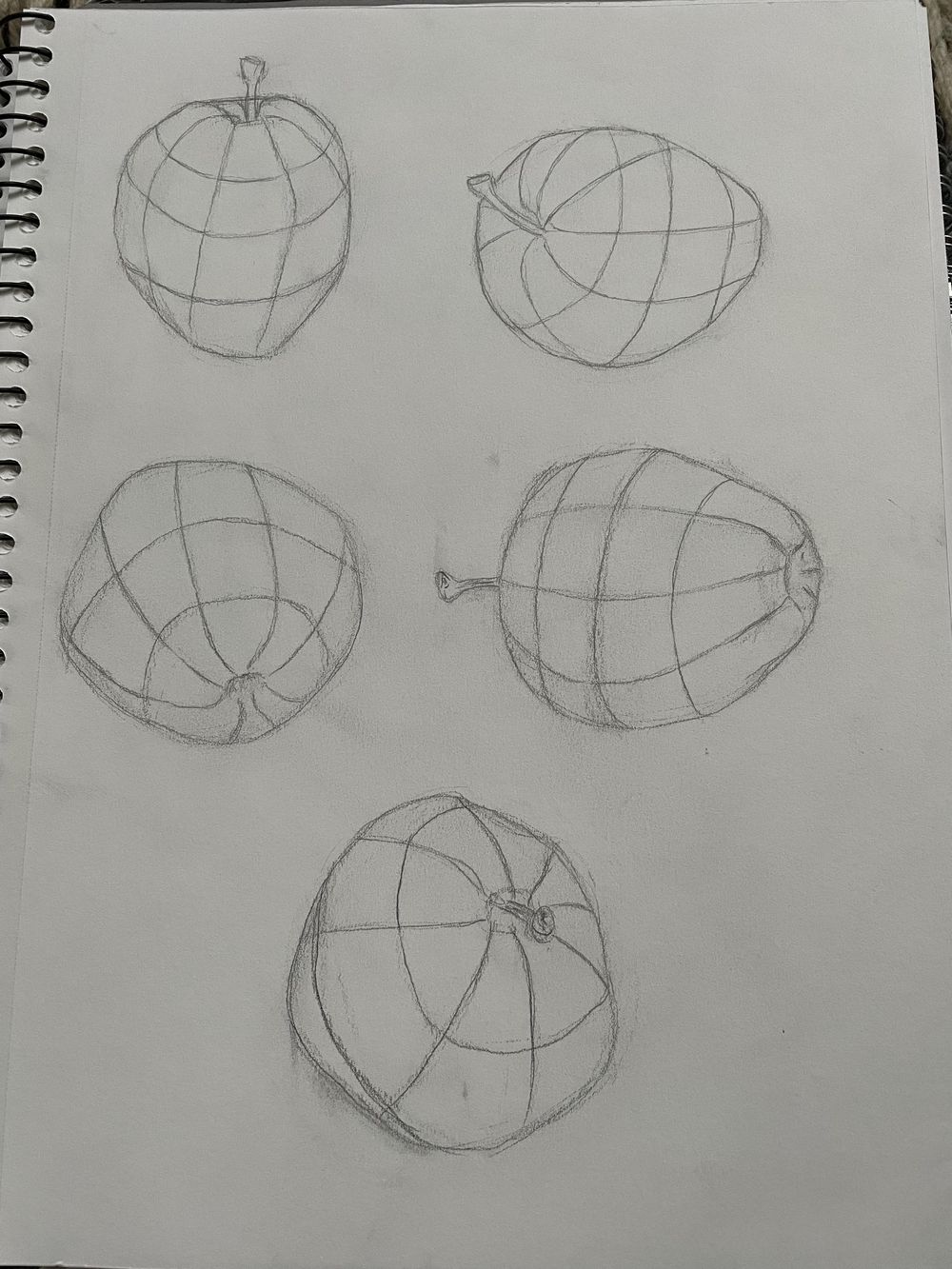 Contours | Skillshare Student Project