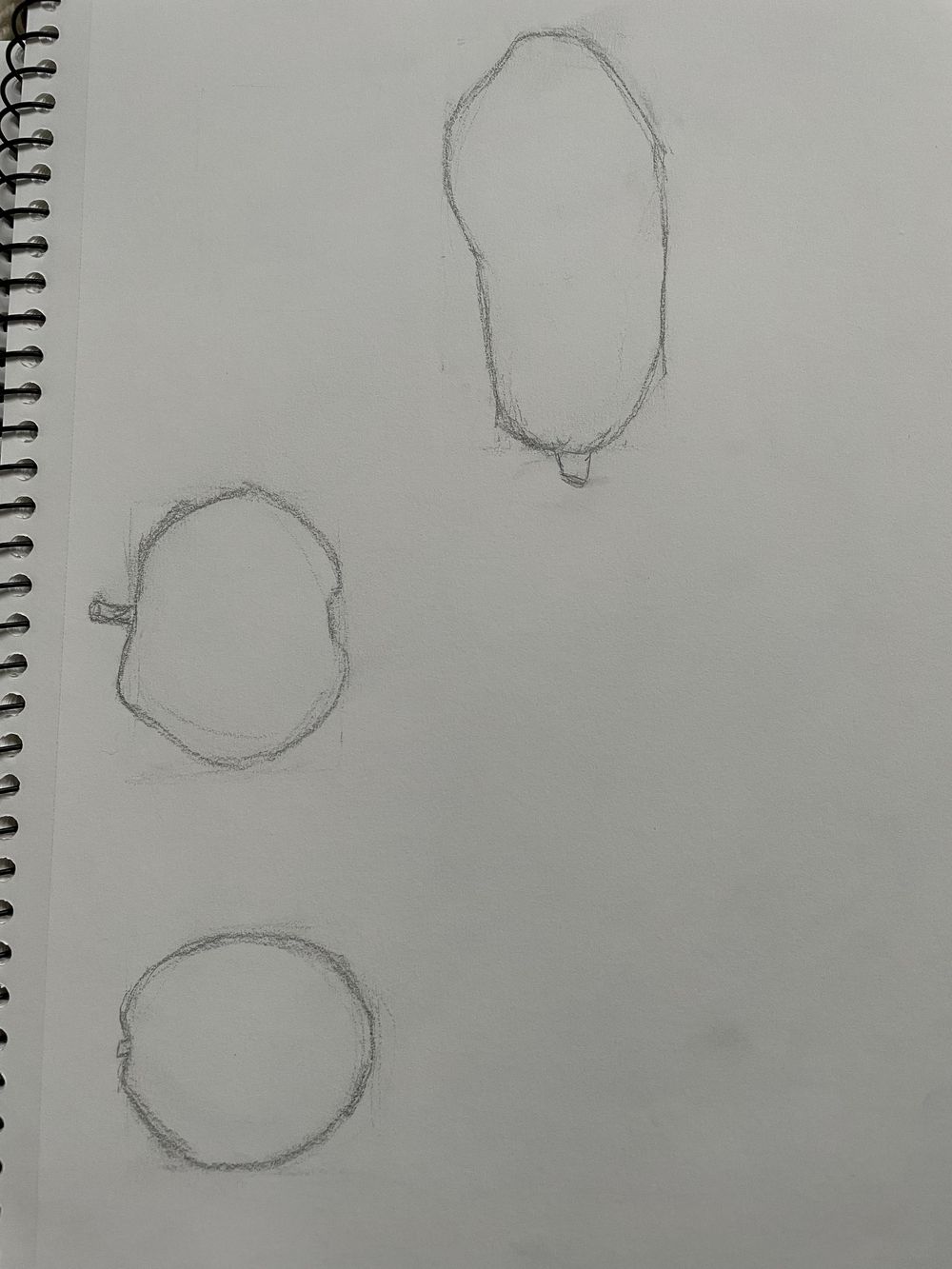 Contours | Skillshare Student Project