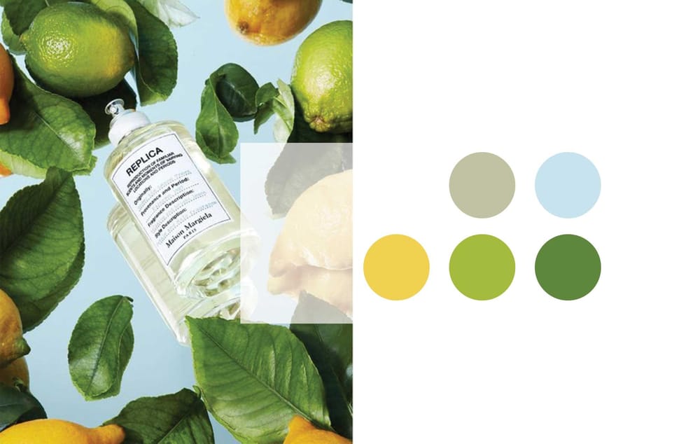 Fresh color palette | Skillshare Student Project