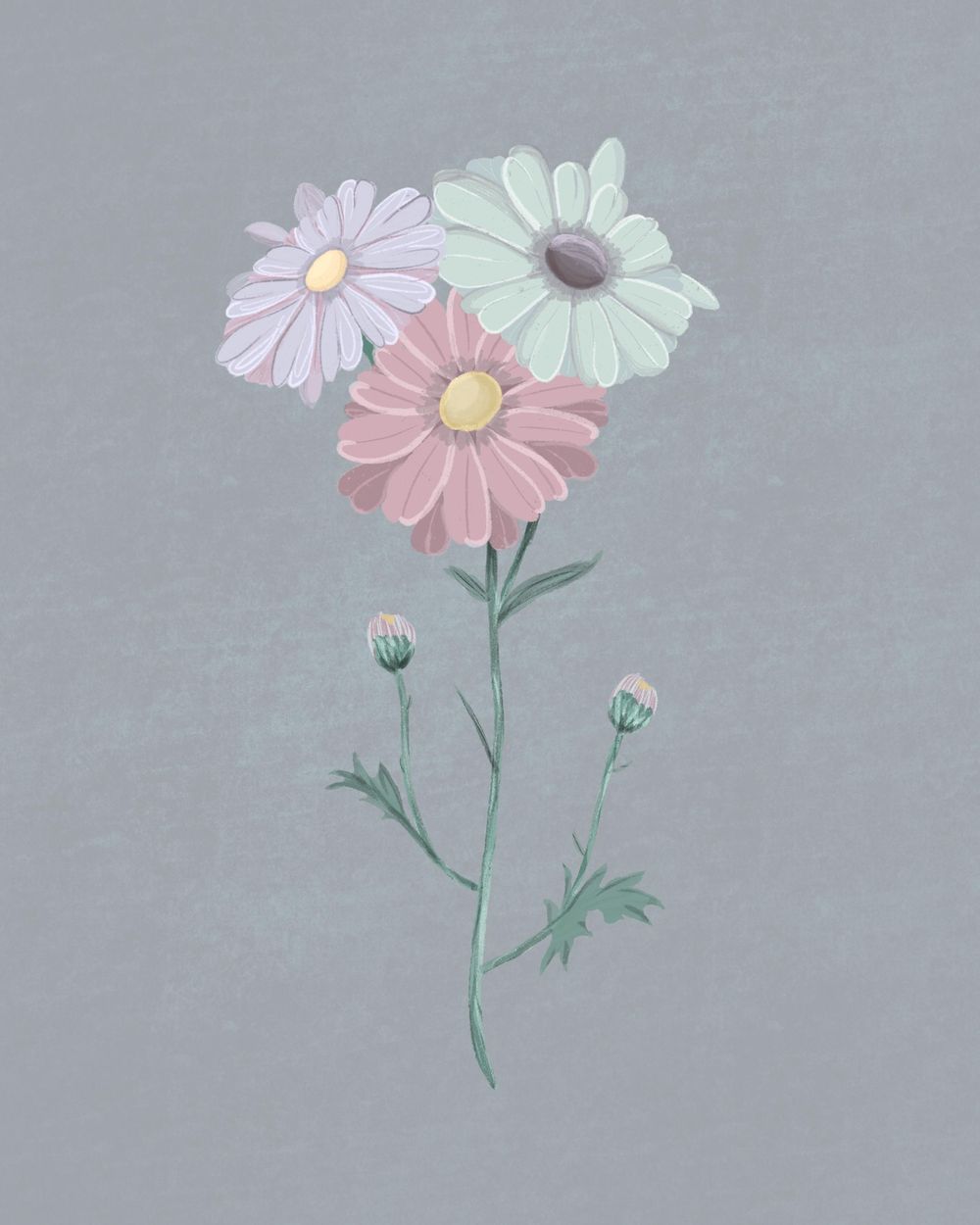 Colourful daisy's | Skillshare Student Project