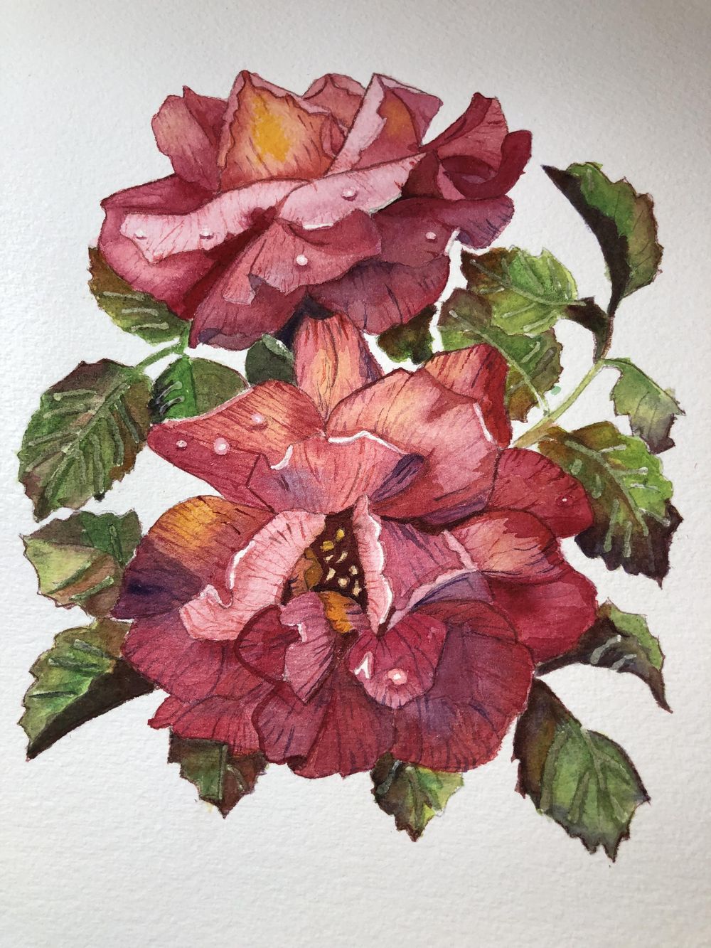 Rose | Skillshare Student Project