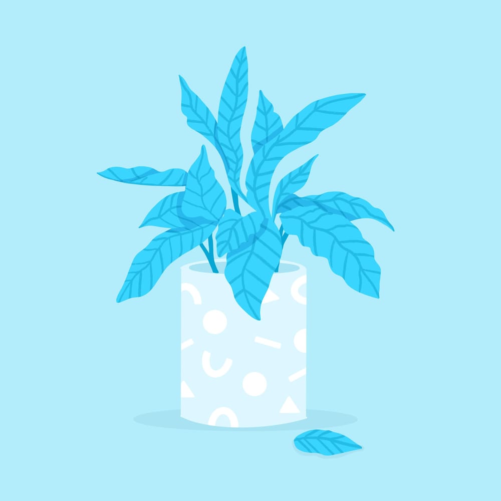 Color Thumbnails and using complimentary colored plant | Skillshare ...