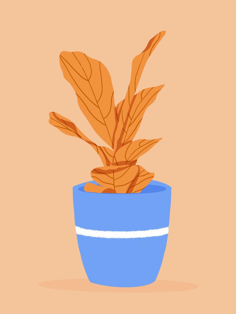 Color Thumbnails and using complimentary colored plant | Skillshare ...