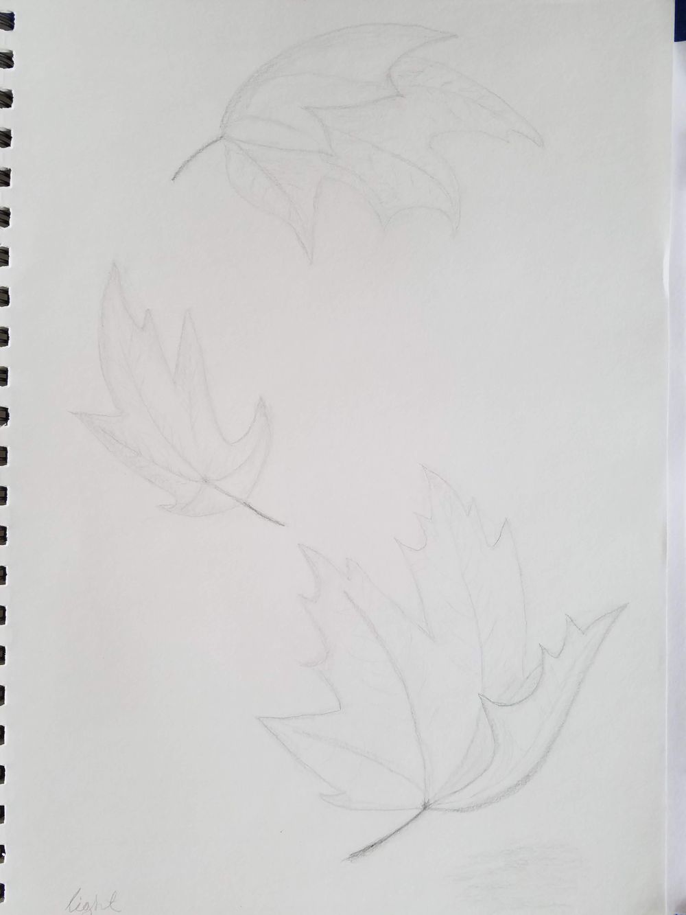 Dynamic Mark Making | Skillshare Student Project