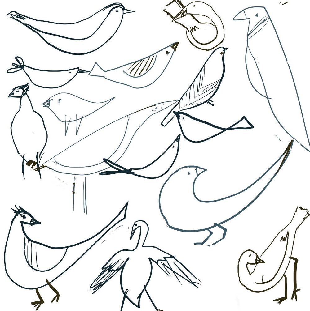 First birds | Skillshare Student Project