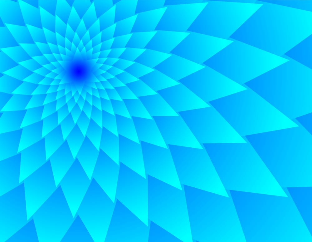 My projects | Skillshare Student Project