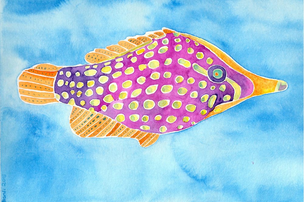 Workshop Project. _ Three Fish Versions. | Skillshare Student Project