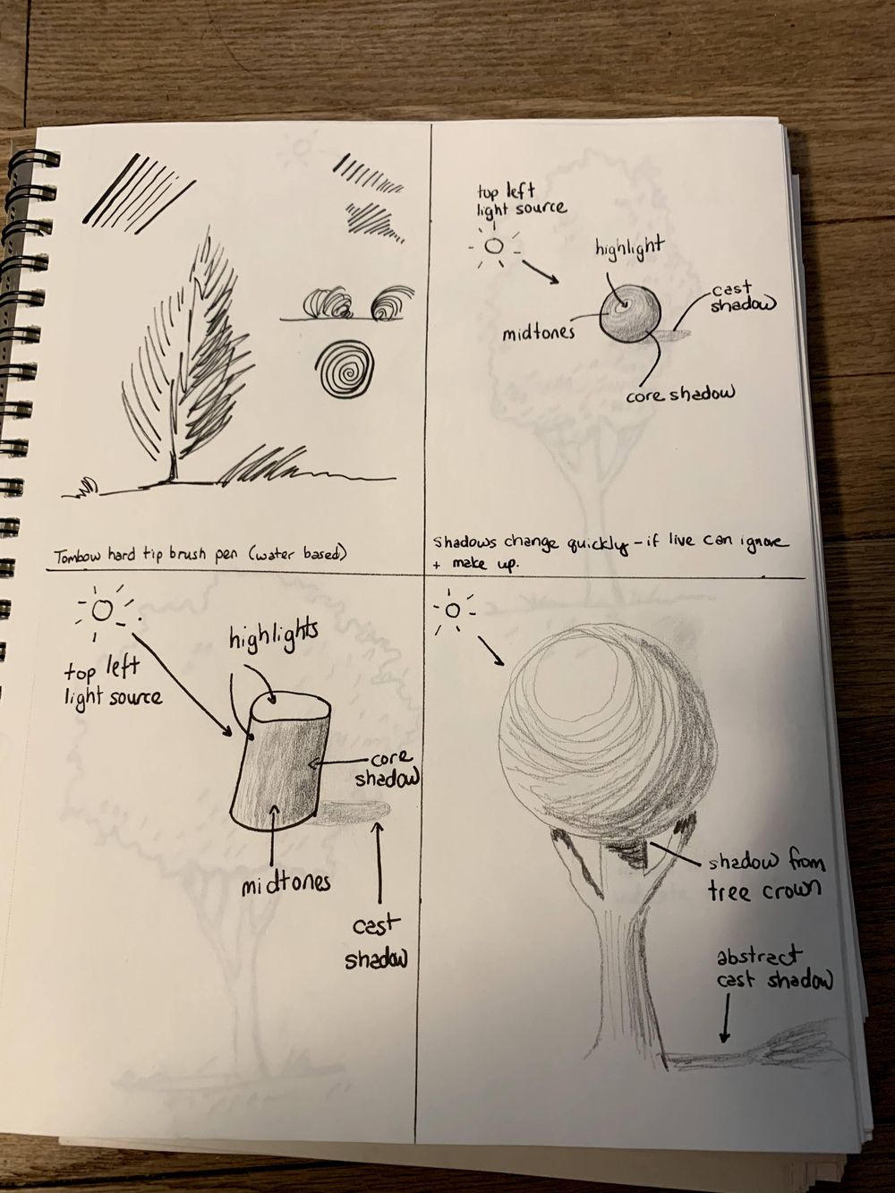 Trees class | Skillshare Student Project