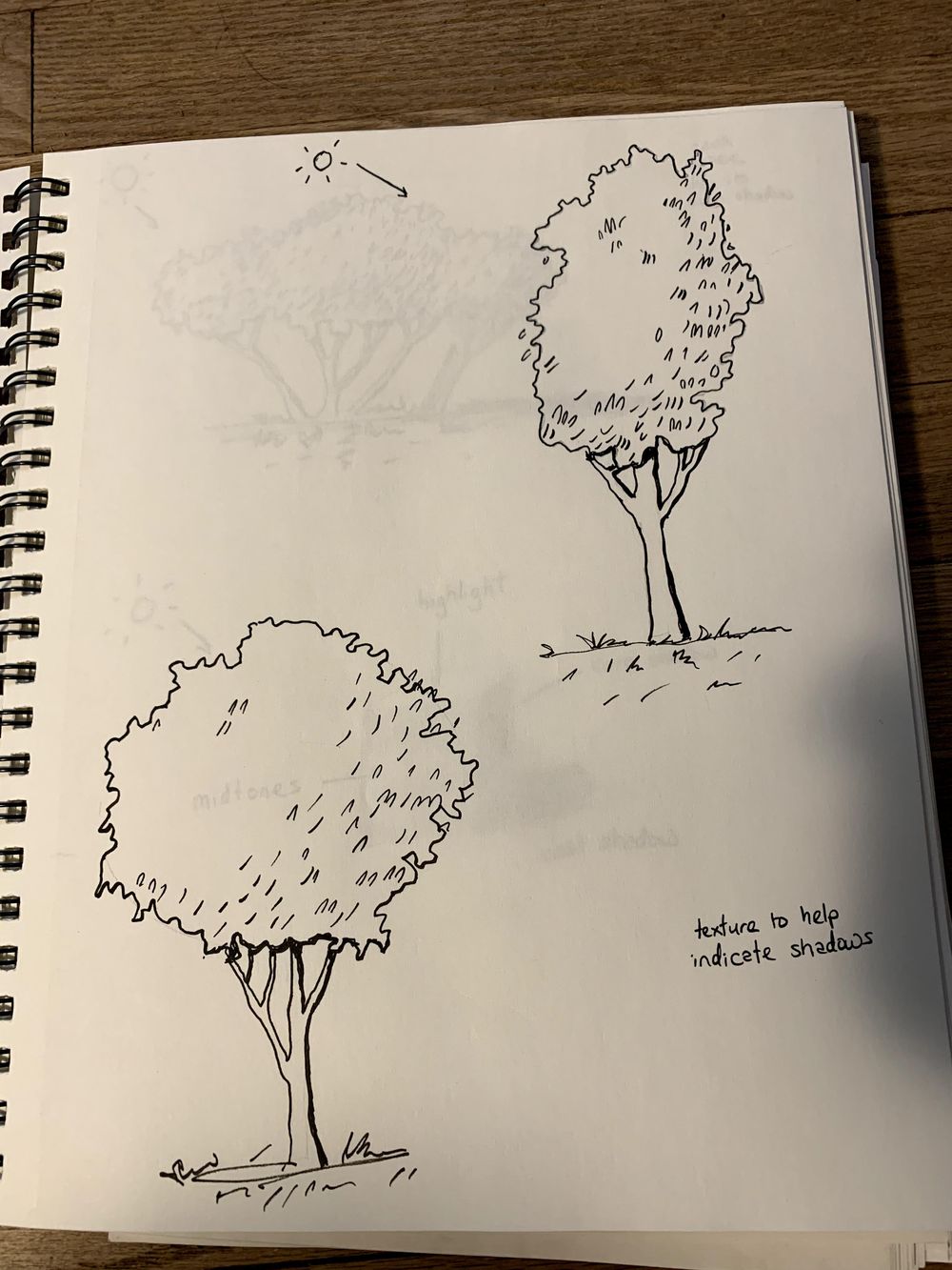 Trees class | Skillshare Student Project