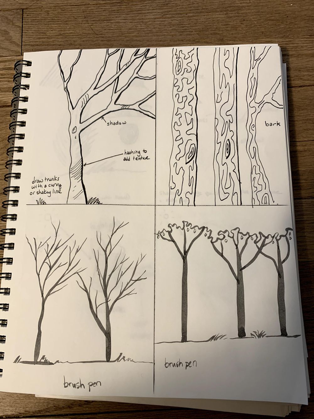 Trees class | Skillshare Student Project