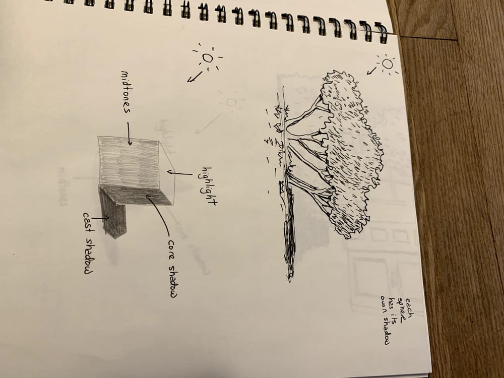 Trees class | Skillshare Student Project