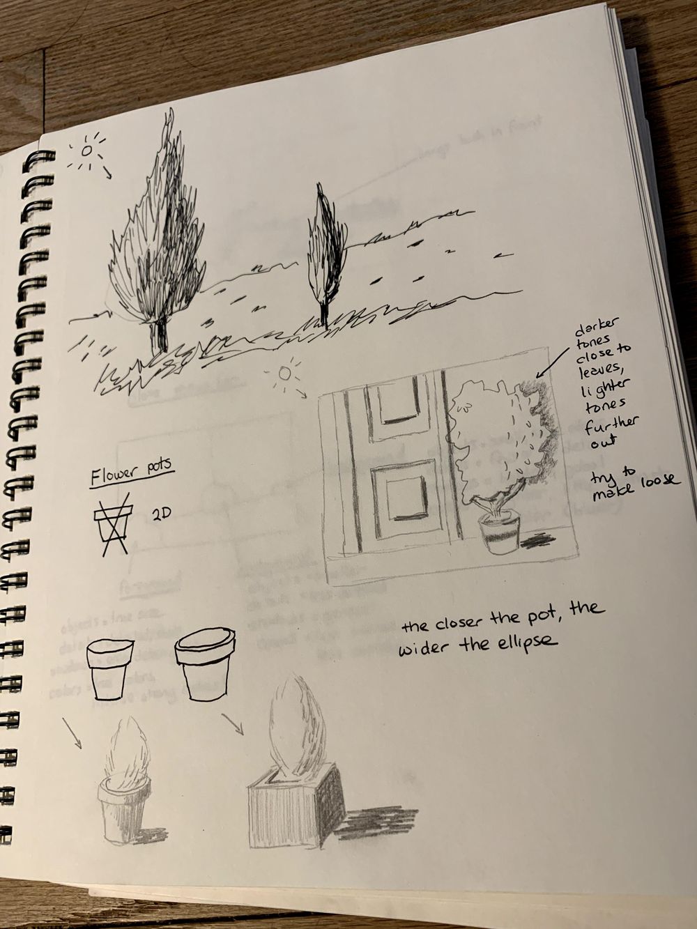 Trees class | Skillshare Student Project