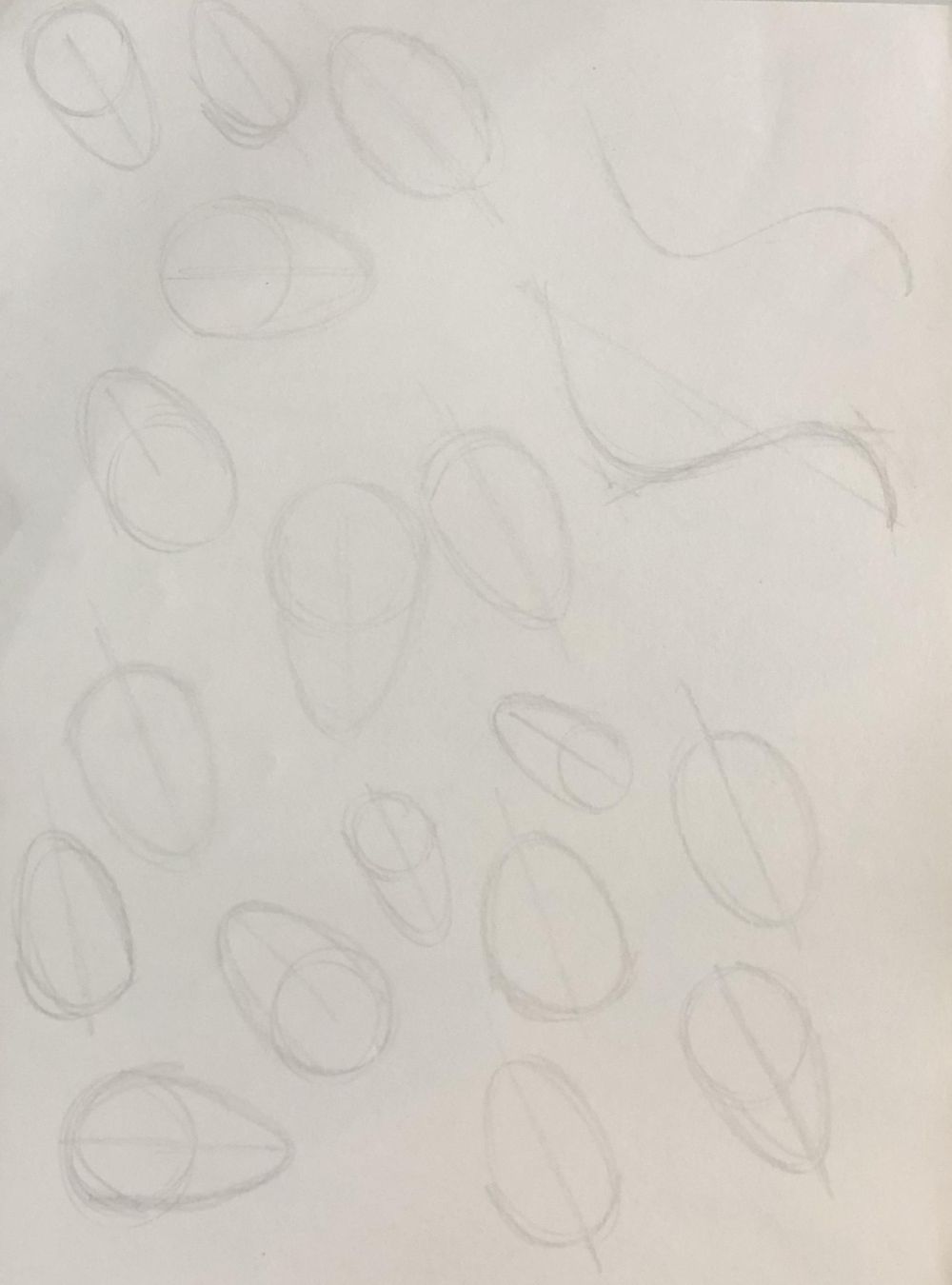 Curves and Shapes | Skillshare Student Project