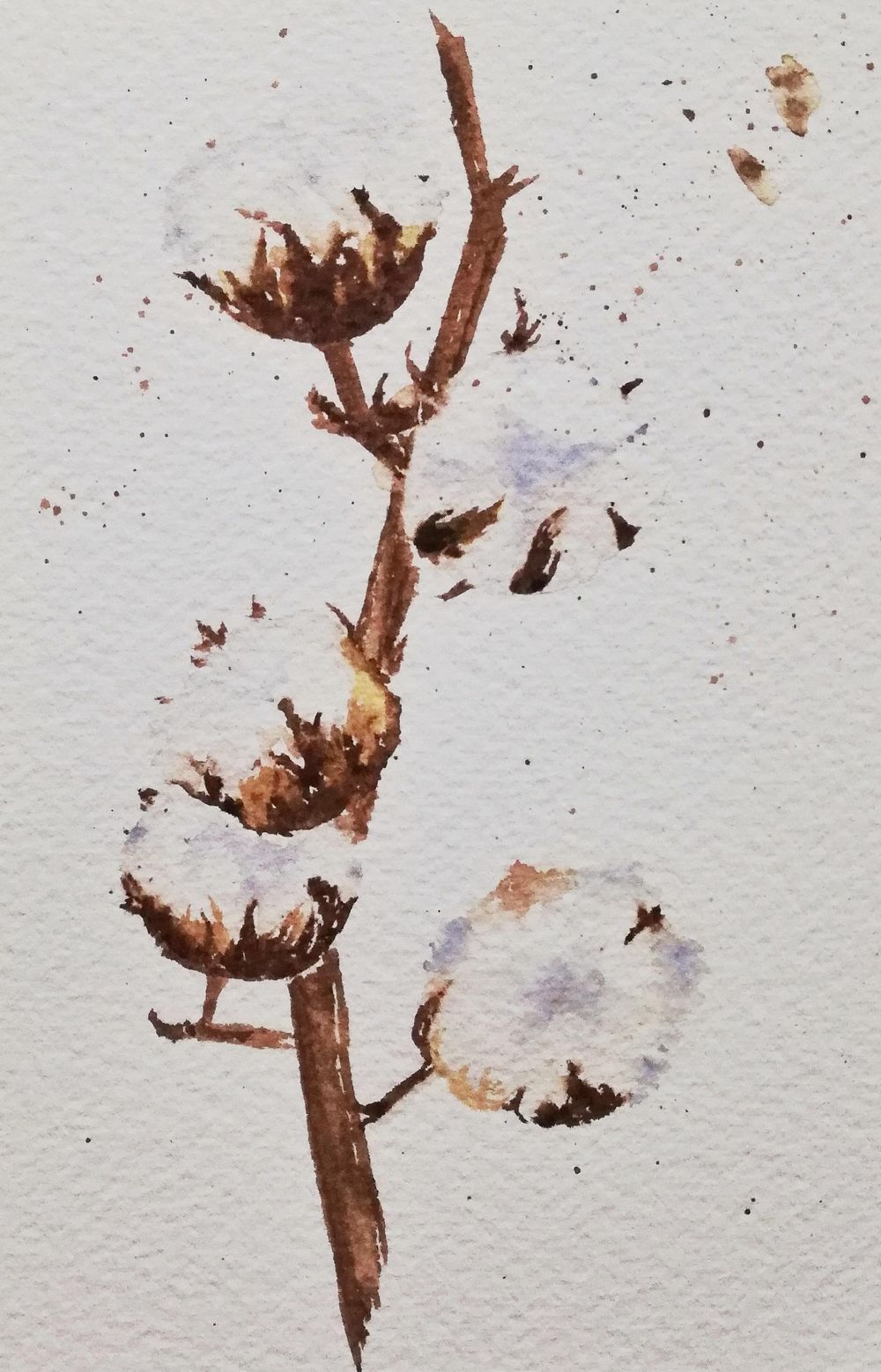 Cotton Flower | Skillshare Student Project