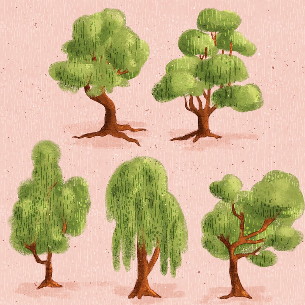 Trees | Skillshare Student Project